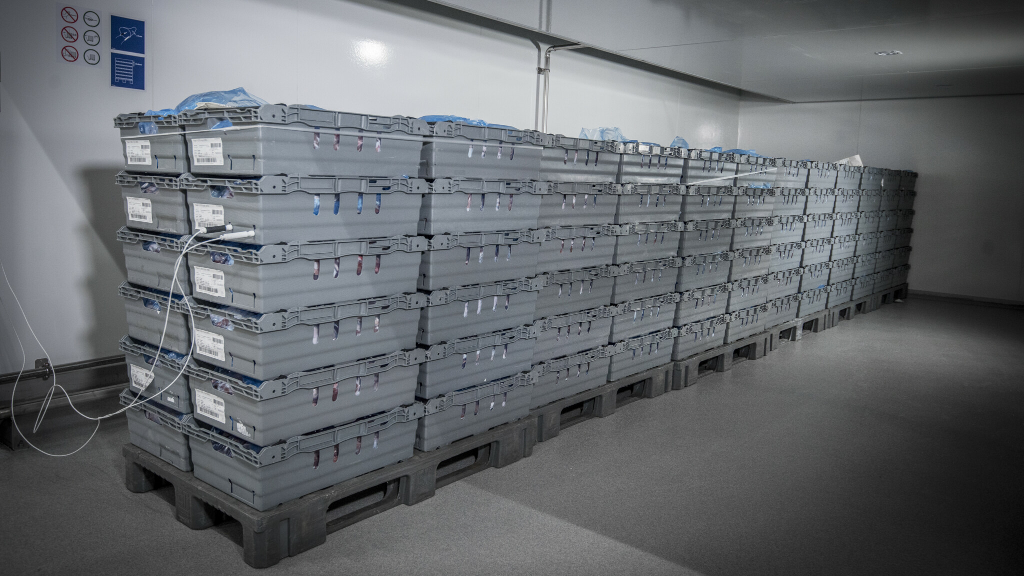 Thawing meat industrially: Best practices - Kometos
